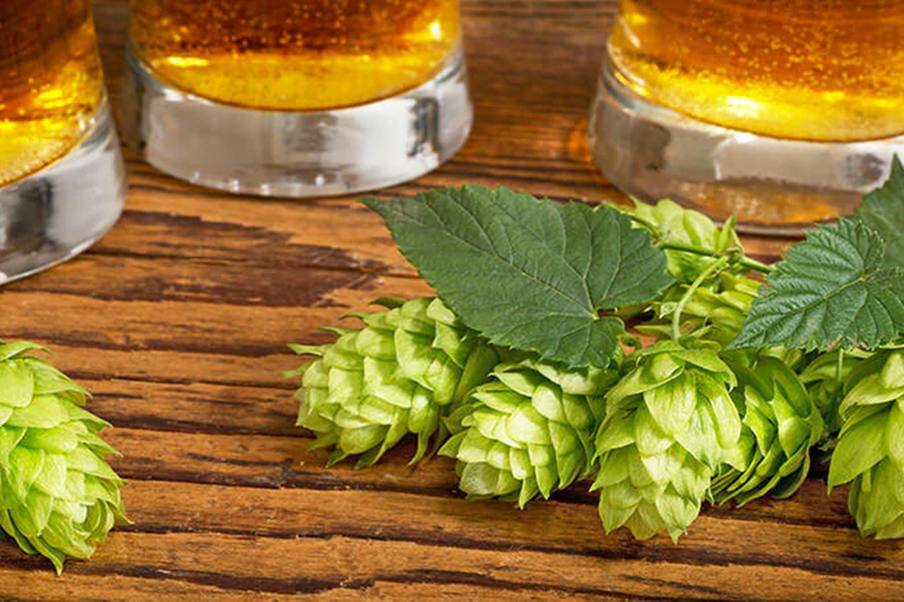 En casos de estrés y ansiedad, ¿has probado el lúpulo? - Blog NATFY