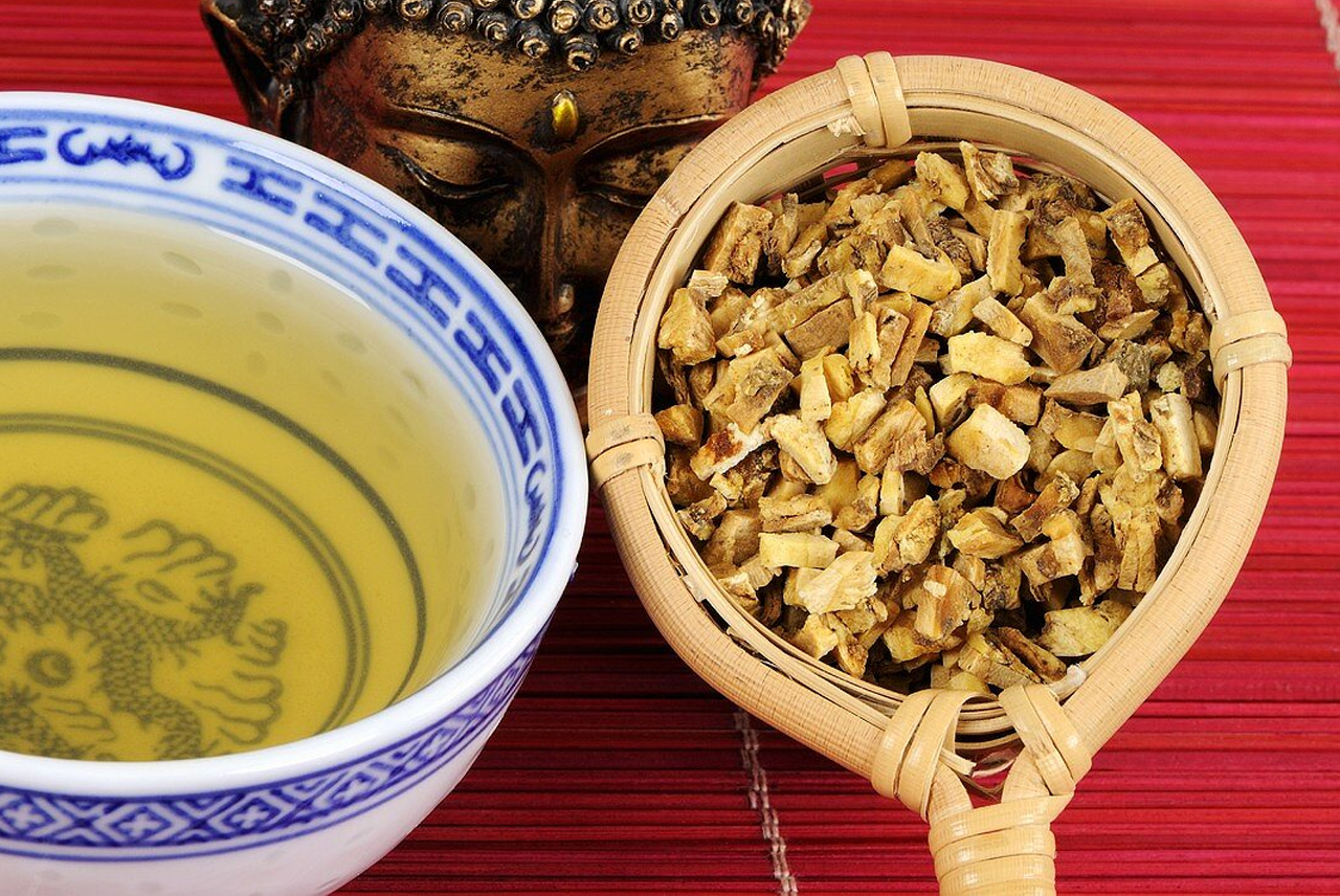 Angélica, el tónico digestivo y expectorante que aman las mujeres ...