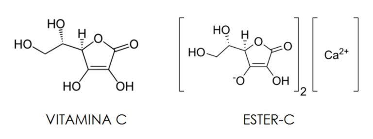 ¿Es el Ester-C la mejor forma de vitamina C? - Blog NATFY